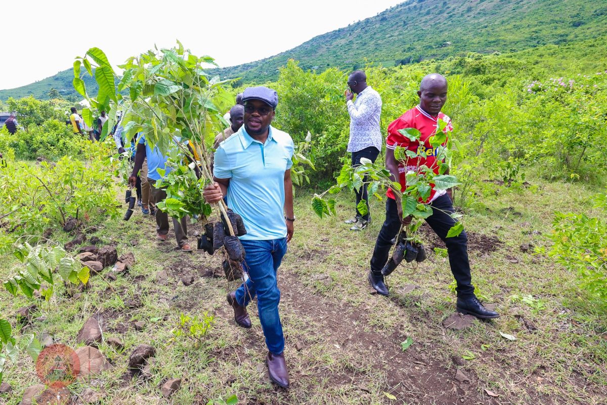 Supporting Kenya's Green Future on World Environment Day - Raymond Omollo